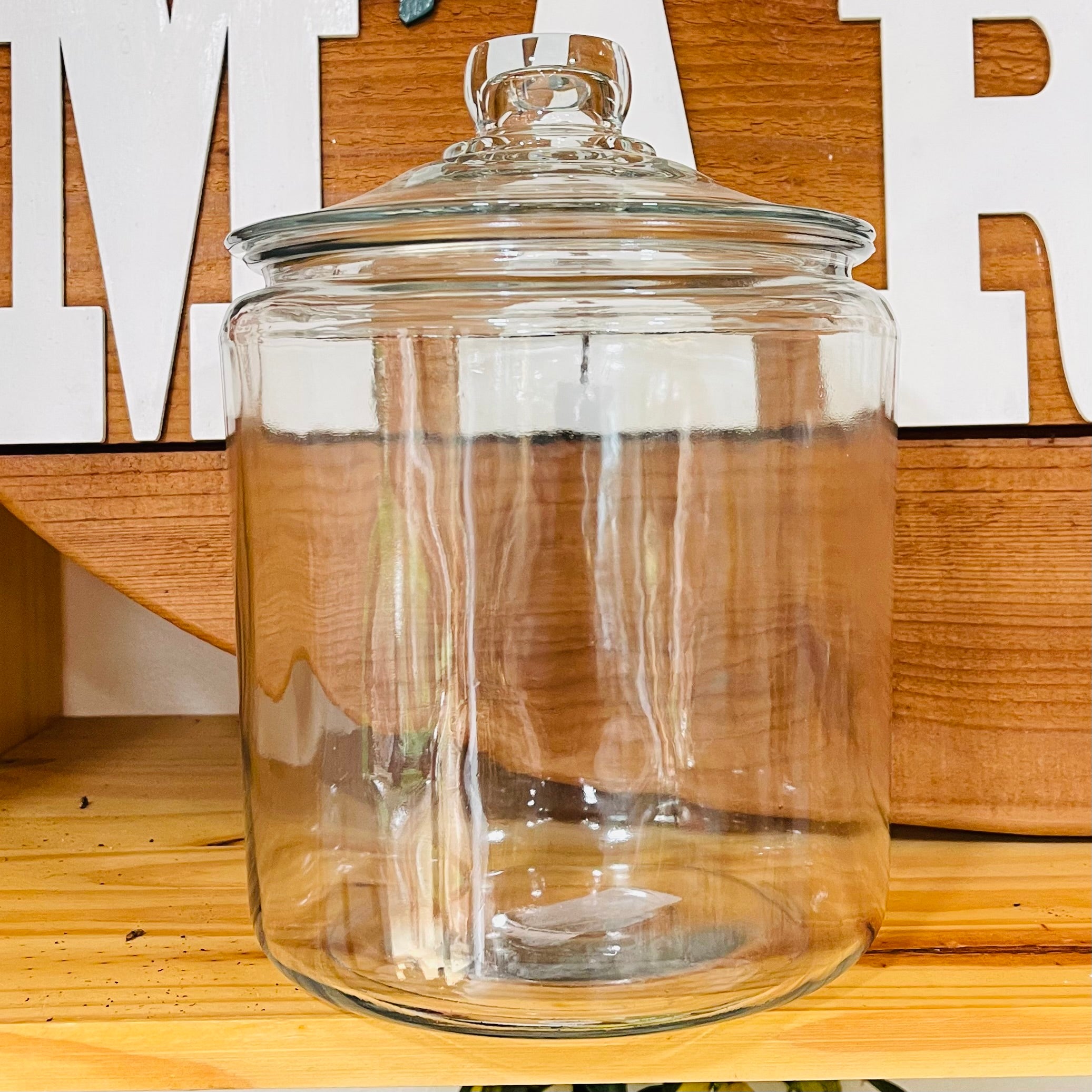 Terrarium Jar with Lid – Mari's Gardens