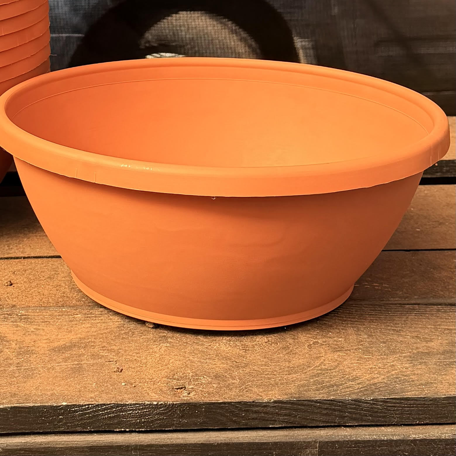 Dillen Bowl Planter – Mari's Gardens