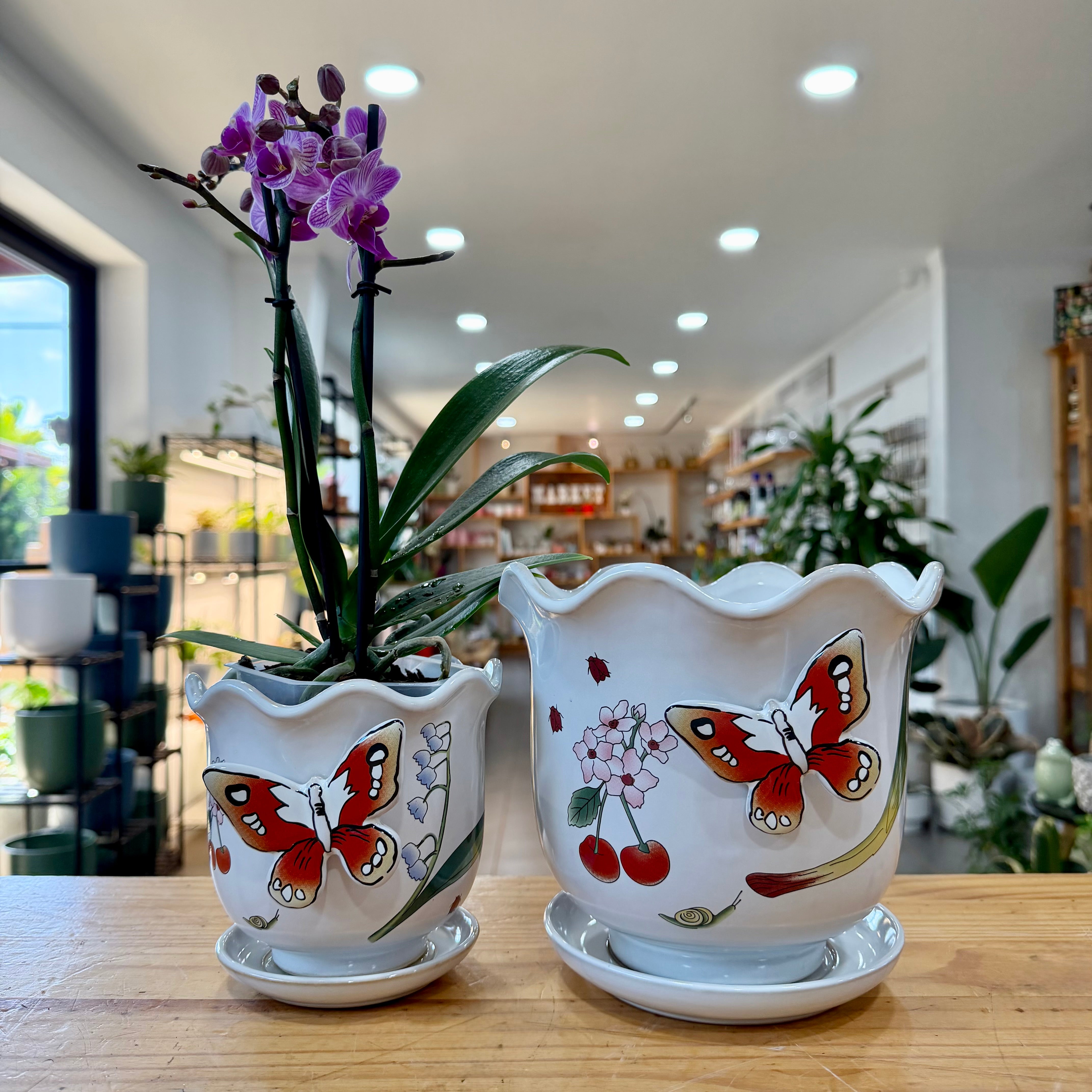 Papillon Planter – Mari's Gardens