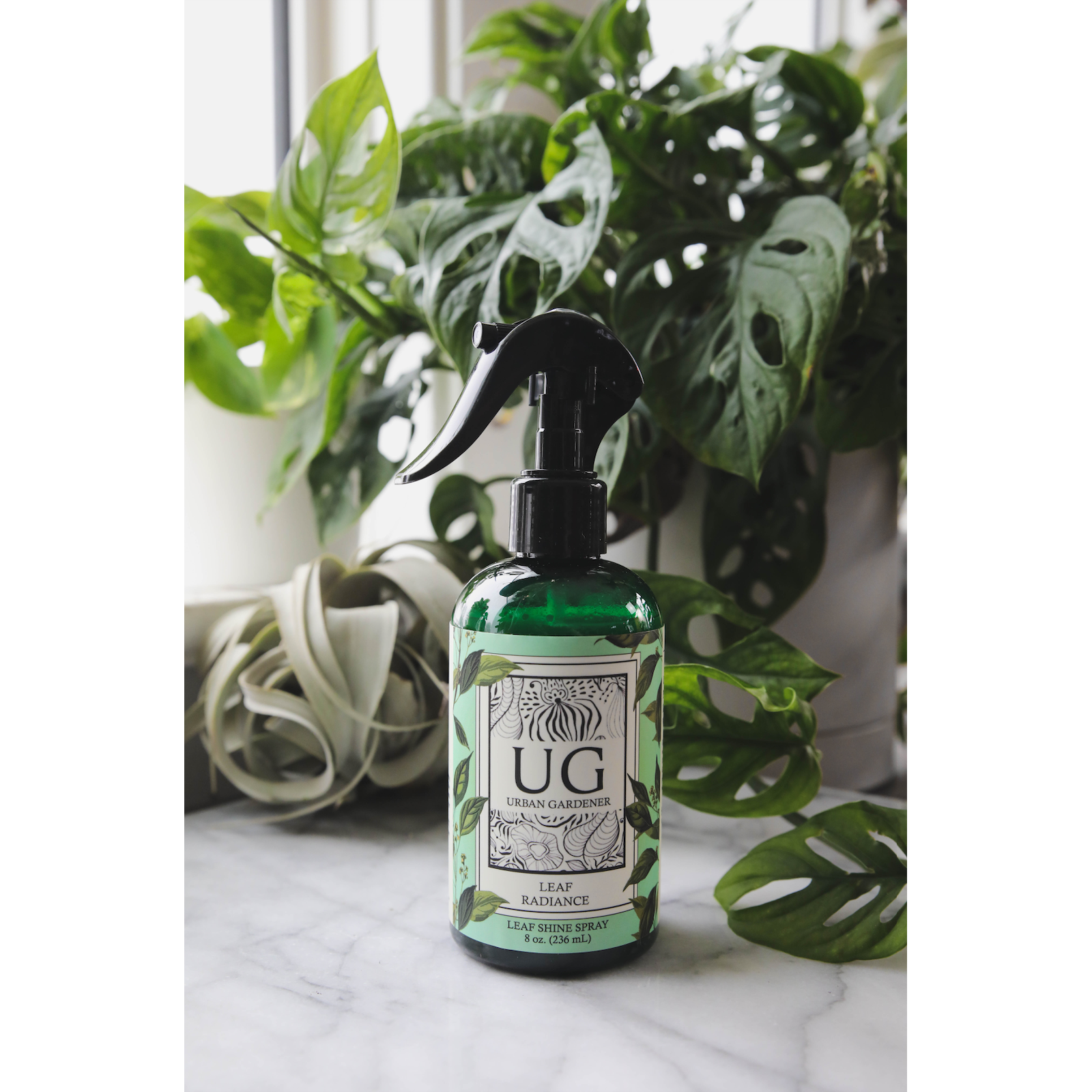 Leaf Radiance - Natural Houseplant Cleaner & Shine – Mari's Gardens