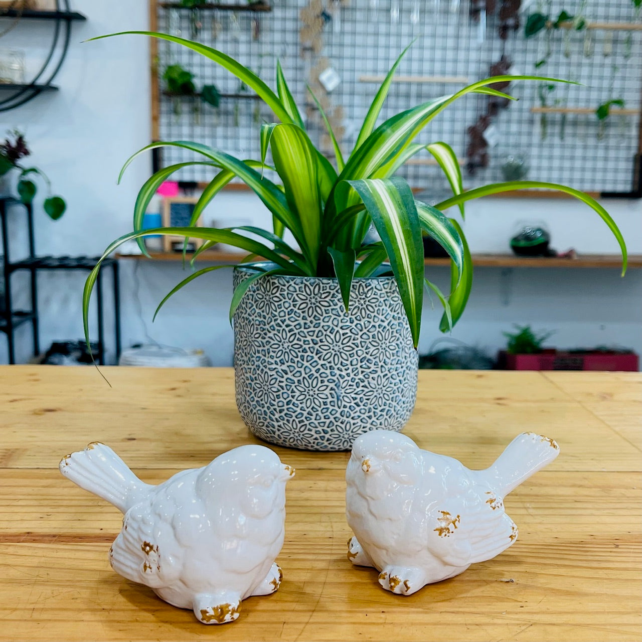 Ceramic Bird – Mari's Gardens