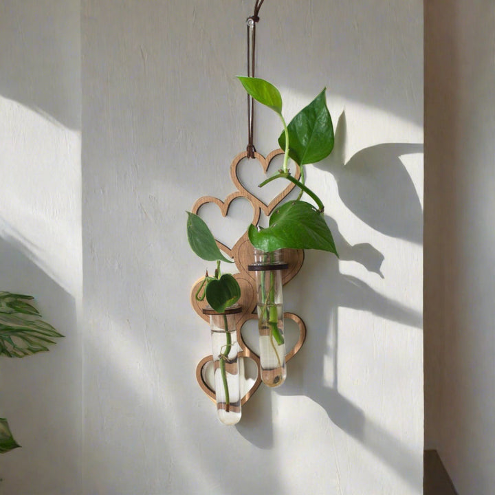 Products – Mari's Gardens